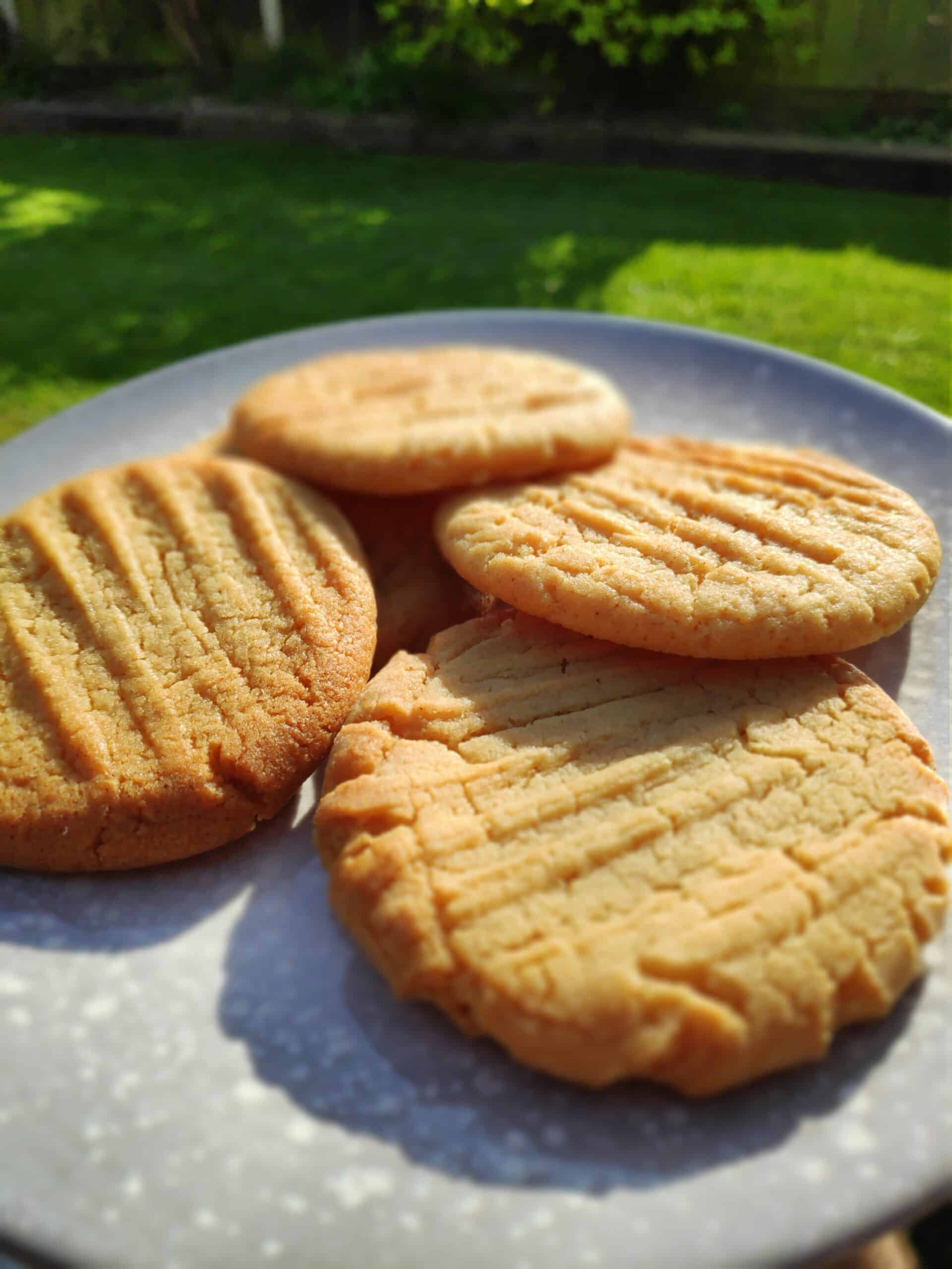 How To Make Tasty Chewy Ginger Biscuits