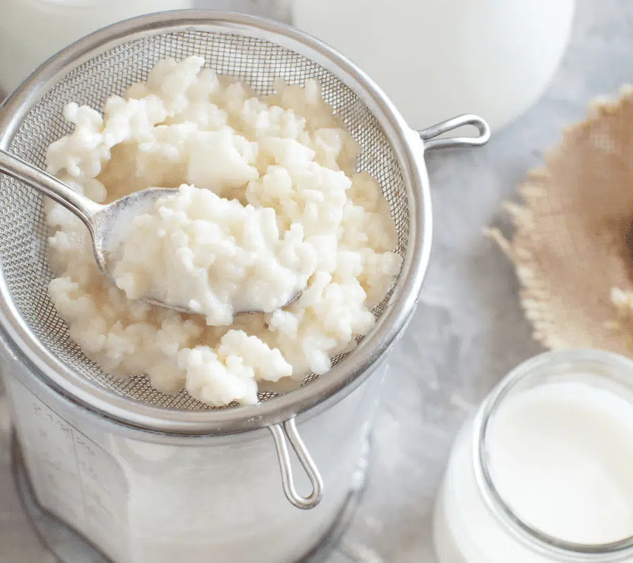 How To Make Your Own Kefir Drink - Rachel's Recipe Pantry