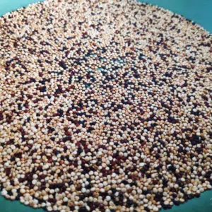 How To Make Puffed Quinoa (Popped Crunchy Snack Recipe)